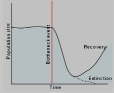 What is a bottleneck event? Provide one example of a current event that ...