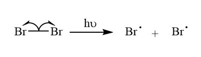 Draw and name the "Major" and "Minor" products formed upon radical ...