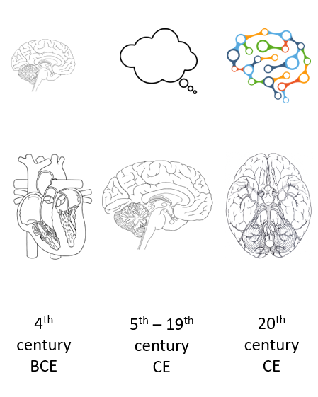 How have Western approaches and understandings of the brain changed ...