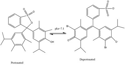 Draw the structure of bromothymol blue in its protonated and ...
