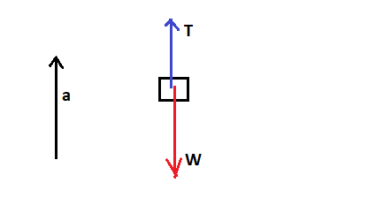 A 3.5 kg bucket of water is raised from a well by a rope. If the upward ...