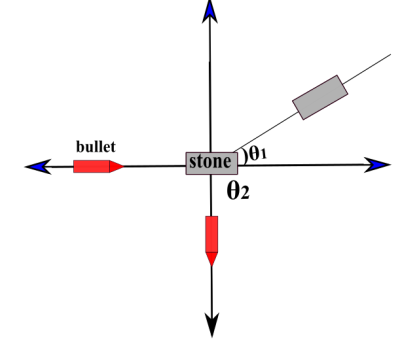 A stone with a mass of 0.100 kg rests on a friction less, horizontal ...