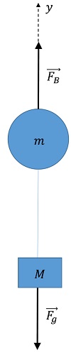 A 3.5 kg balloon is filled with helium ( density = 0.179 kg/m^3). If ...