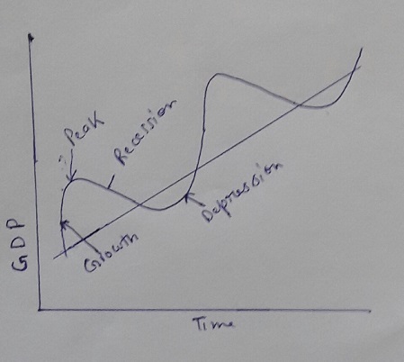 What are the different phases of the business cycle, and how are ...
