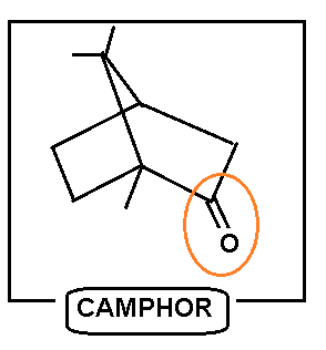 1. Draw the structure of camphor and circle the carbonyl group. 2. Give ...