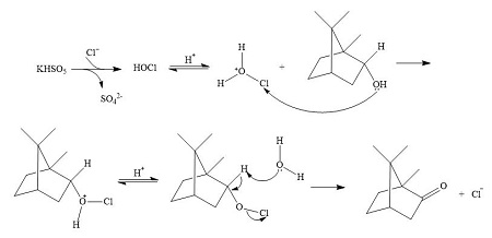 Show the complete synthesize of camphor. [{Image src ...