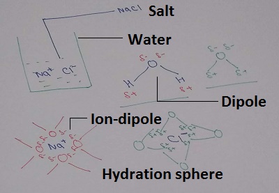 What does it mean when an ion from a salt forms a hydration sphere ...