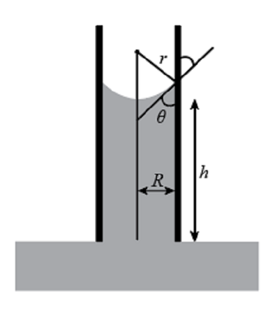Derive proof of Cappilar's law. | Homework.Study.com