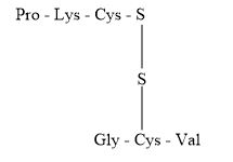 Draw the structure of the next oligopeptide in line. Identify the C and ...