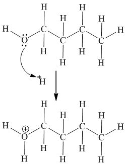 Predict the products when 1-butanol is dehydrated. Include all hydrogen ...