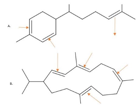 Label each double bond in the following compounds as isolated or ...