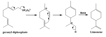 Limonene, a fragrant hydrocarbon found in lemons and oranges, is ...