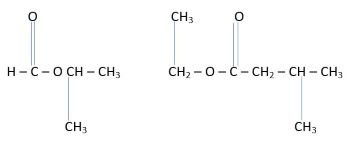 Give the IUPAC name of the following: (Image) | Homework.Study.com