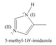 Which nitrogen is more basic in the following compound? | Homework ...