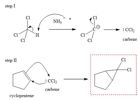 Draw the major product for the reaction of cyclopentene with t-BuOK in ...