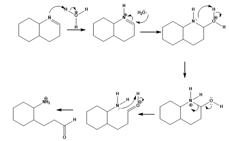 Draw a stepwise mechanism for the following imine hydrolysis ...