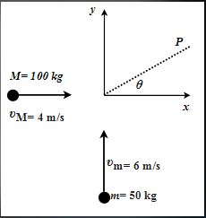 The total momentum of the system before the collision (magnitude and ...