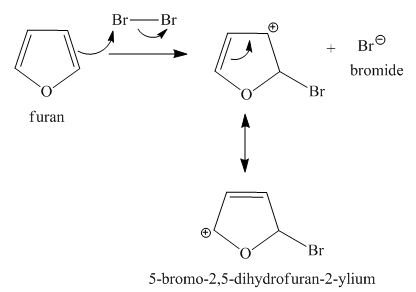 Draw the mechanism for this reaction given below | Homework.Study.com