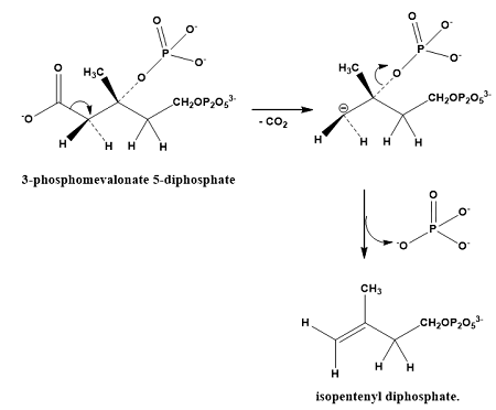 Naturally occurring compounds called terpenoids are biosynthesized by a ...