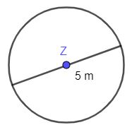 Find the circumference and leave your answer in terms of \pi ...