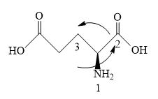 Assign an R or S configuration to the chiral center in amino acid. L ...