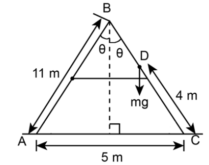 A stepladder has negligible weight and is constructed as shown below ...