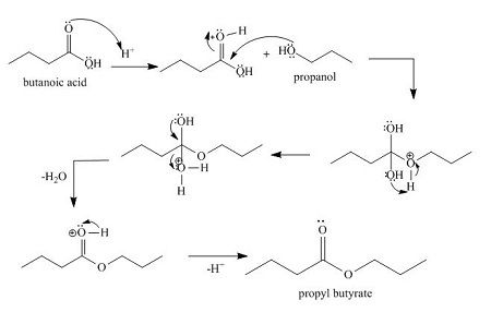 Draw the stepwise mechanism showing electron flow & product formation ...
