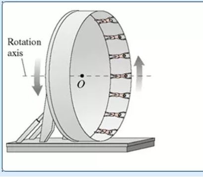 In an amusement park ride called The Roundup, passengers stand inside a ...
