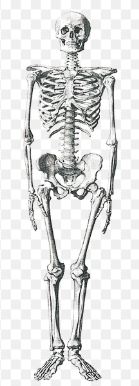 Place the parts on the diagram. | Homework.Study.com