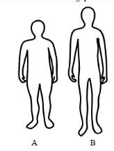 Bergmann's and Allen's Rules Examine the figures below and answer the ...