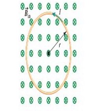 The figure below shows a circular conducting loop with a 4.90 cm radius ...