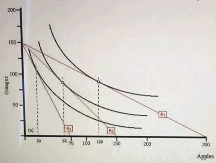 Assume that a consumer has an income of $150 per month and that the ...