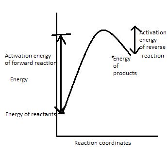 A certain reaction has an enthalpy of delta H = 44 kJ and an activation ...