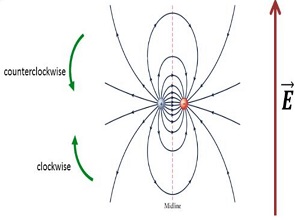 1) Which way will the dipole rotate after being released ? (a) The ...