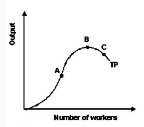 Refer to the graph shown which shows total product. At point B: a ...