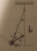 A pendulum with a cord of length r= 1.00 m swings in a vertical plane ...