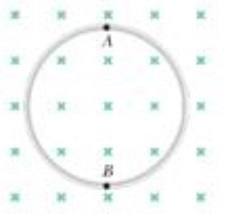 The flexible loop in the figure below has a radius of 12 cm and is in a ...