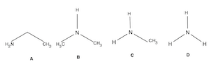 Identify the amines as primary, secondary, tertiary, or quaternary ...