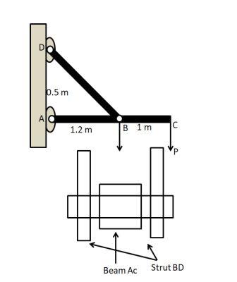 A horizontal rigid beam ''AC'' is supported by a strut ''BD'' as shown ...
