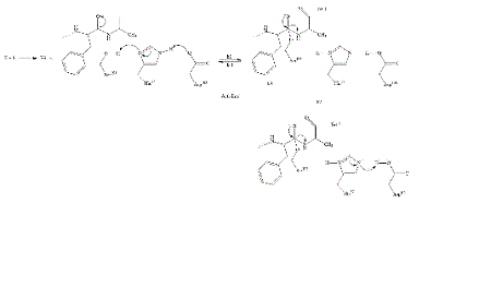 Using any two of lysozyme, carboxypeptidase, chymotrypsin or aspartate ...