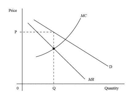 Use revenue and cost curves to illustrate and explain the sense in ...