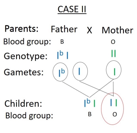 In a case of disputed parentage, a child with type O blood is claimed ...