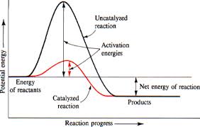 A catalyst affects the at which a chemical reaction occurs, but it is ...