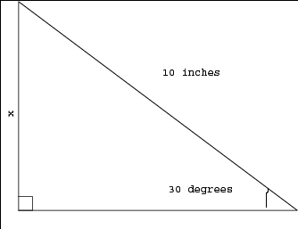 A pizza with radius 10 inches is cut into 6 equal sized slices. find ...