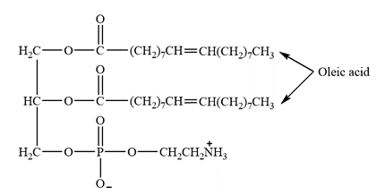 Draw the skeletal structure of one of the two cephalins containing ...