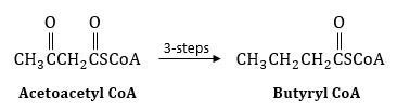 Fatty acids are synthesized in the body by the lipogenesis cycle, which ...