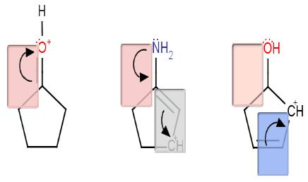 Place appropriate curved arrows from the ones provided showing the ...