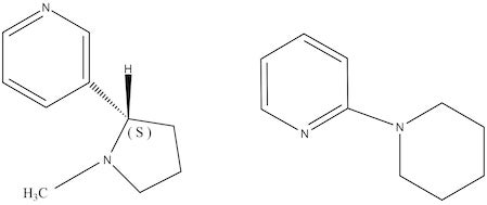 Draw a constitutional isomer of nicotine. | Homework.Study.com