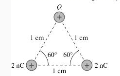 In the figure Q = 1.9 nC and all other quantities are accurate to 2 ...