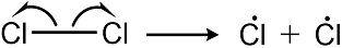 Chlorocyclopropane can be prepared by free radical chlorination of ...
